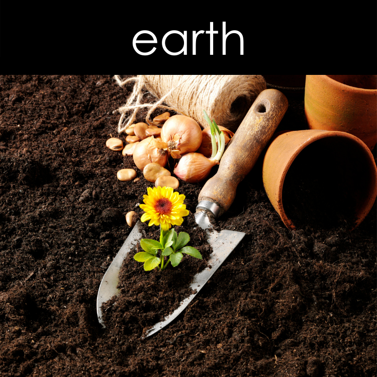 Earth – Scents by Design Candle Bar