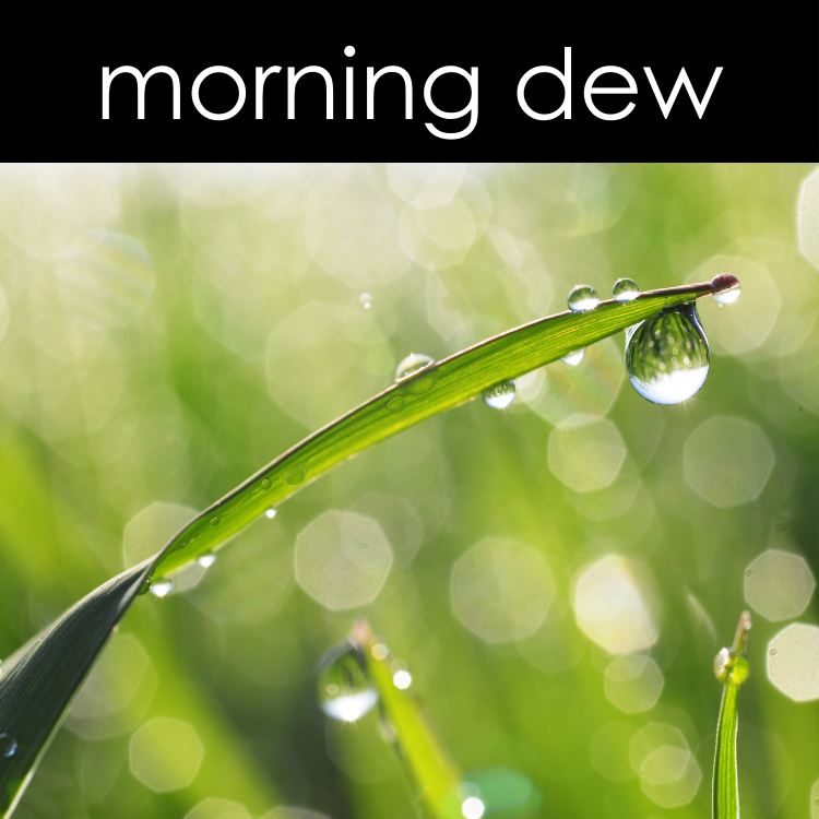 Morning Dew – Scents by Design Candle Bar